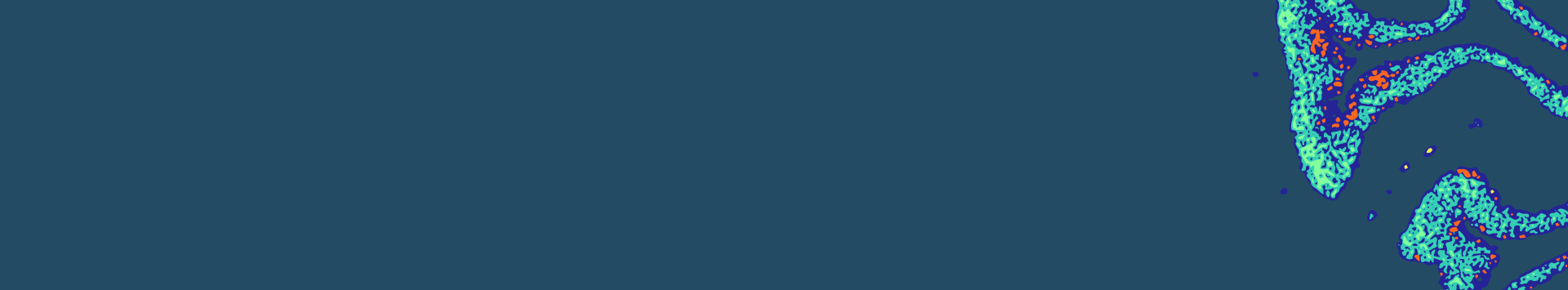 bis22-banner - BIS 2024