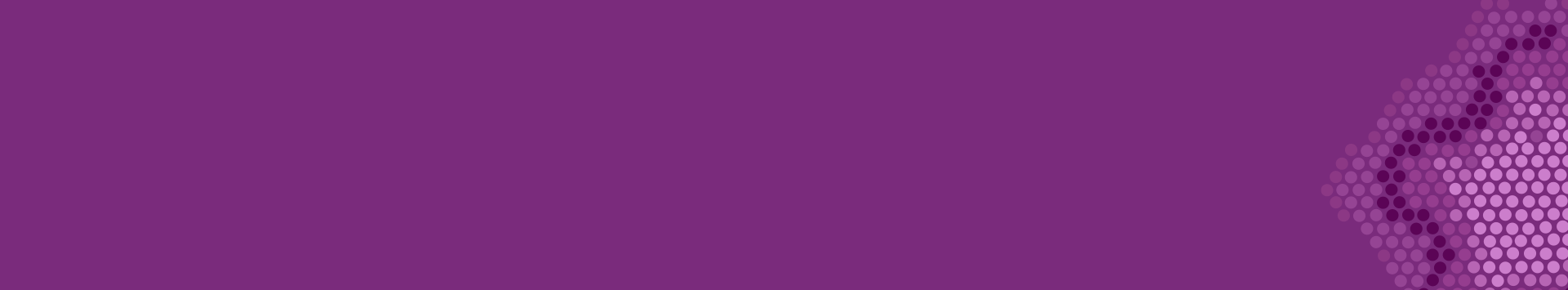 bis24-banner - BIS 2024